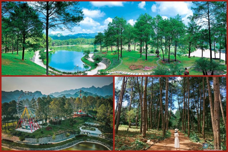 Top 6 most beautiful forests in Northern Vietnam | Nadova Tours