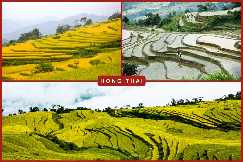 Top 6 most beautiful terraced fields in Vietnam | Nadova Tours