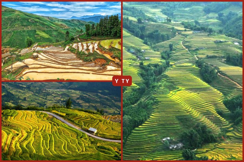 Top 6 most beautiful terraced fields in Vietnam | Nadova Tours