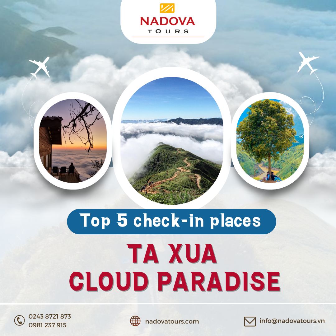 Top 5 check-in places in Ta Xua cloud paradise | Nadova Tours